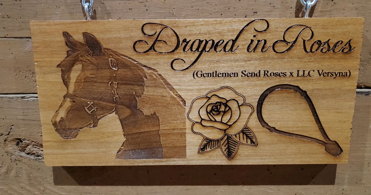 Stall Plaque - Stall Sign, Personalized Custom with a Photo of your ...