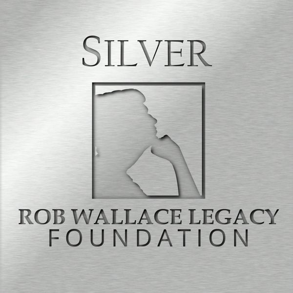 Sponsor - Silver Level