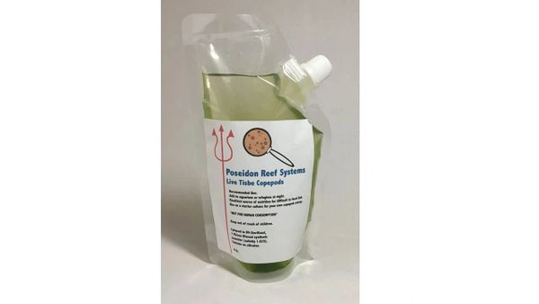 Tisbe Copepod Starter Culture