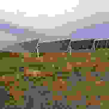 Sunrays Electrical Pty Ltd