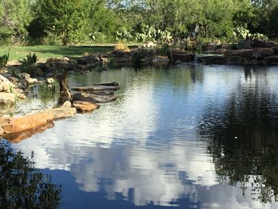 Installation in Austin - The Natural Swimming Pond Builder