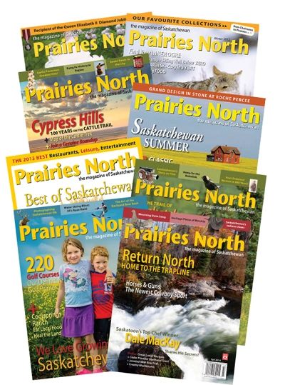 Single 2 Year Print Subscription