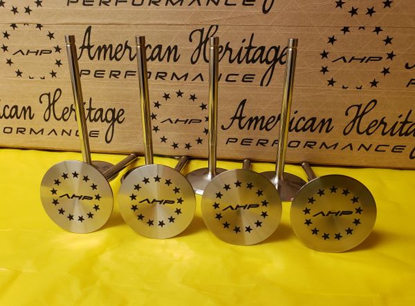 AHP Titanium/Molybdenum LS7 Intake Valves