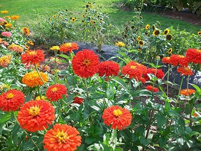Burnap's Farm Market - Fresh Market, Produce, Restaurants Nearby