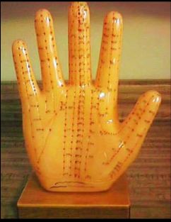 5" x 10" Model-Hand Large Soft Plastic, 3-Dimensional View of Meridian ...