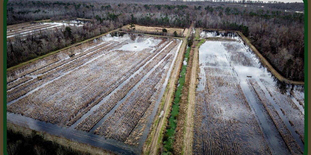 Gameway Farms - Hunt, Hunt, Duck, Ducks Unlimited | Gameway Farms