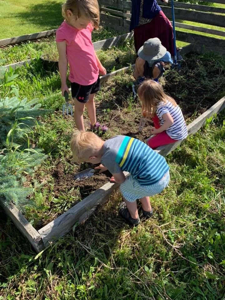 Garden Activities For Toddlers