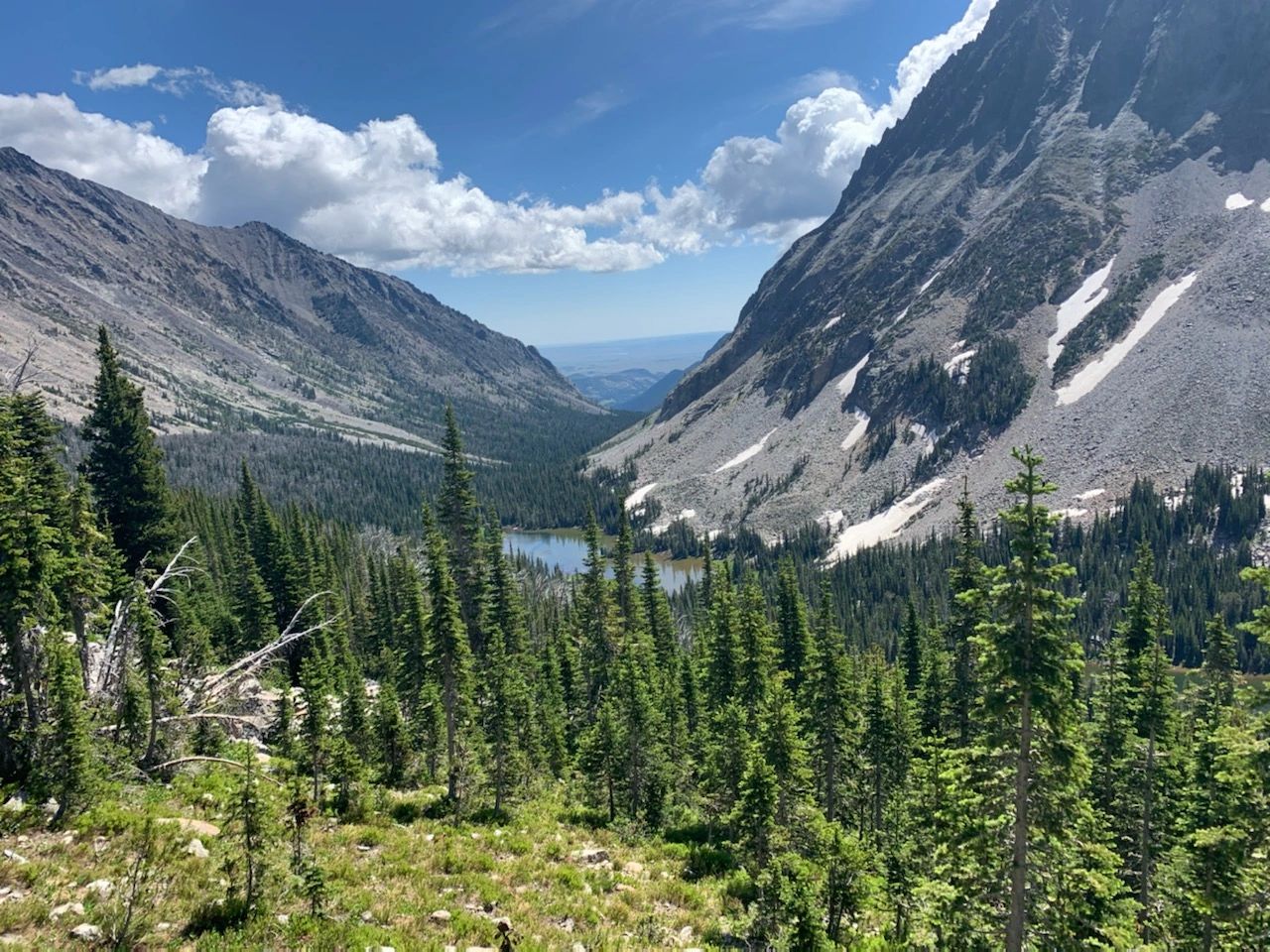 Montana Country Concierge