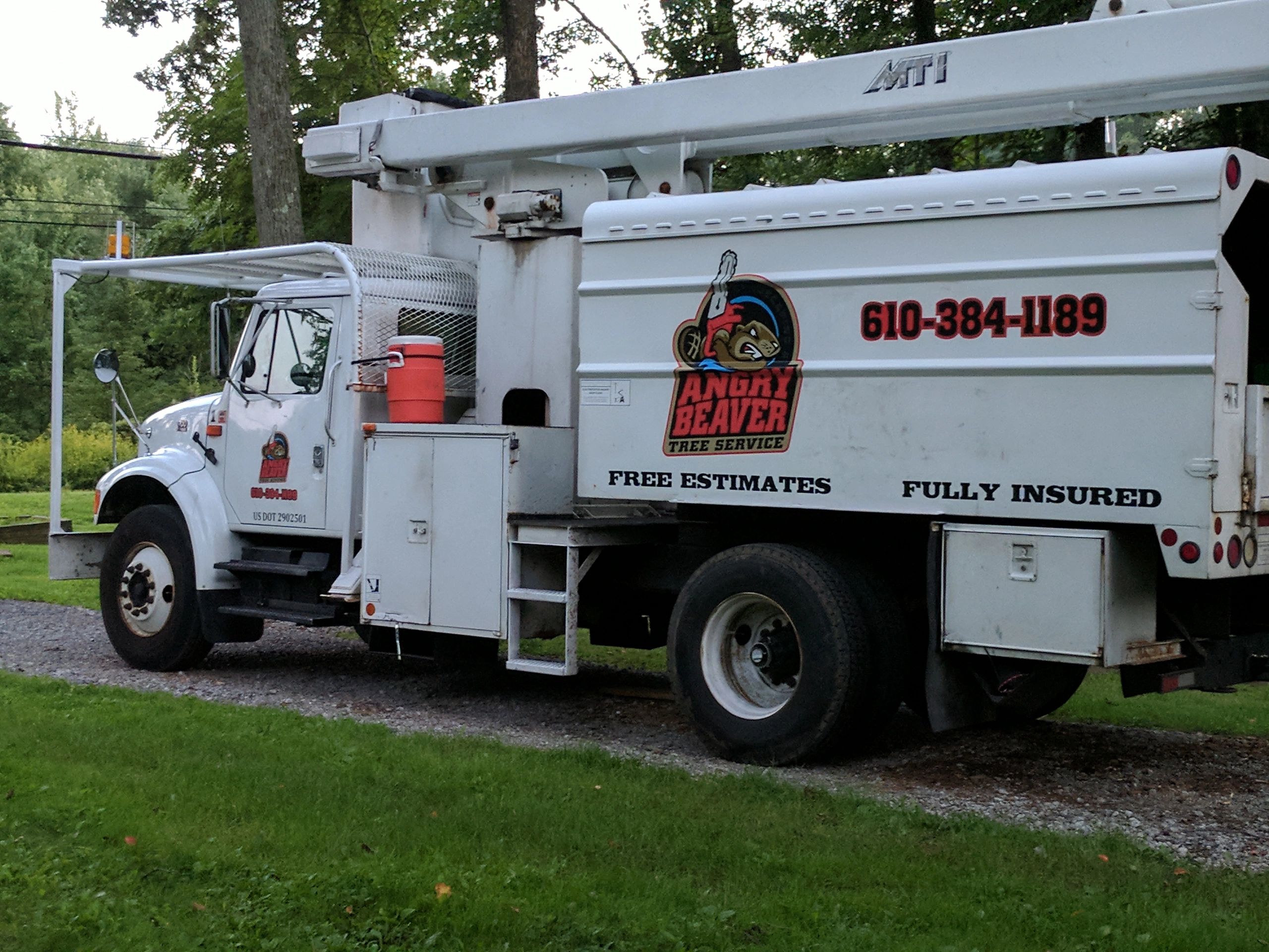 Angry Beaver Landscaping & Tree Service, LLC - Tree Service, Pruning