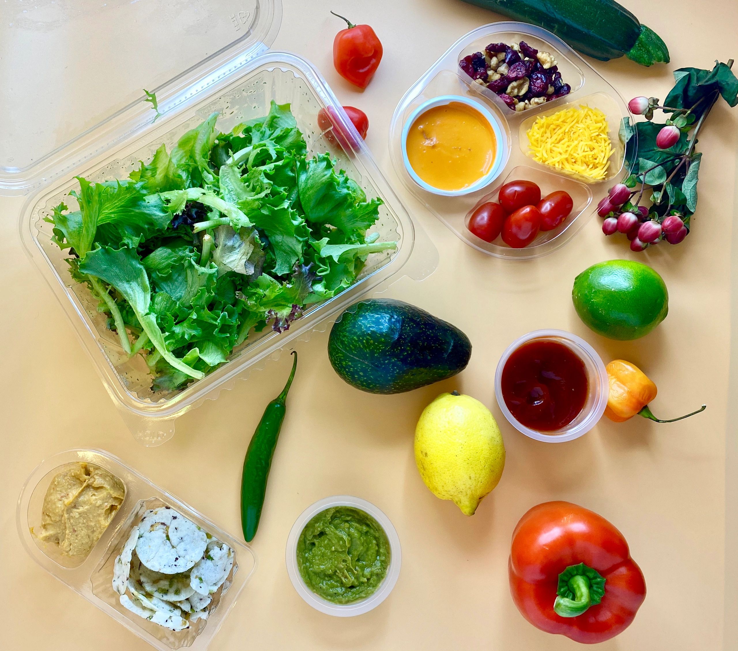 Viewpack Global Mission