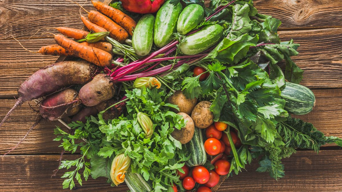 CSA Harvest Share 2025