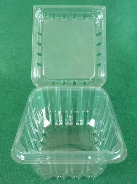 KZ4PINTZ 1 US Dry Pint Clamshell - 480 per case