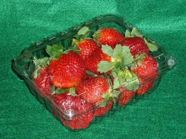 KZ16M 1 lb Modular Quart Clamshell