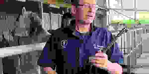 Terafloat - Equine Dentistry, Veterinary, Powerfloat