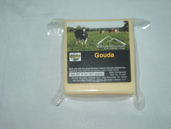 Gouda
