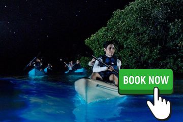 Bioluminescent Kayaking | Florida Bioluminescence Tours - Clear ...
