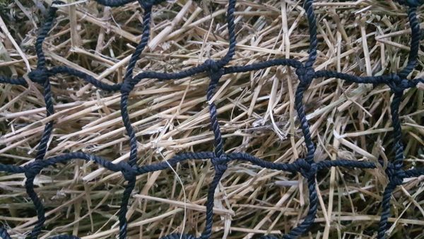 Bulk Netting Quote Request