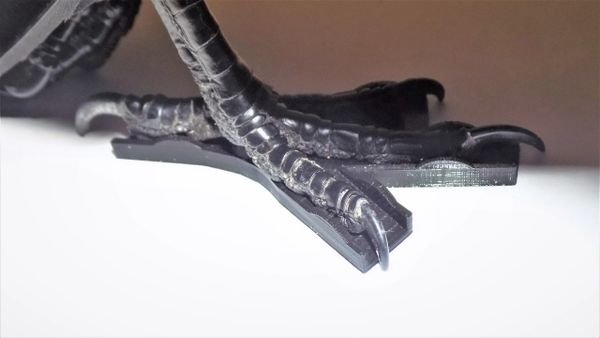 Carrion Crow and Eurasian Rook foot splints