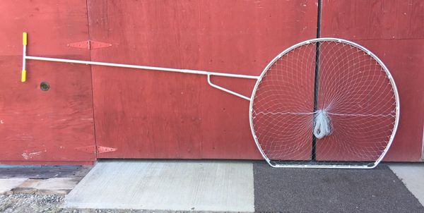 Shore Dip Net with Removable Handle: Pick up only