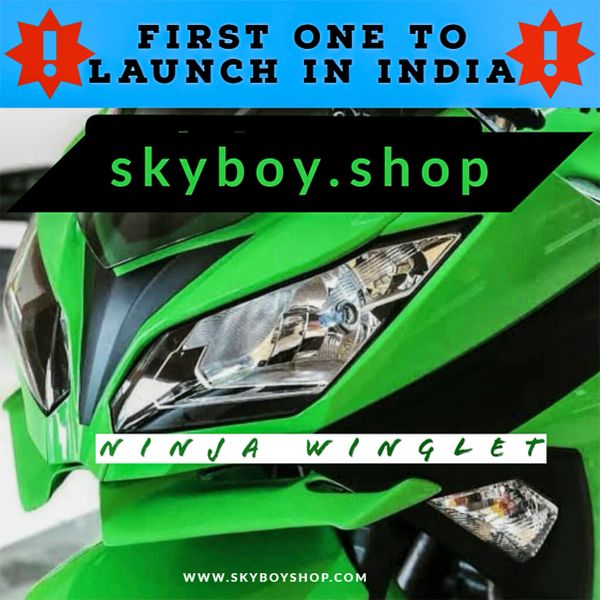 Kawasaki Ninja 300 , 650 Winglet