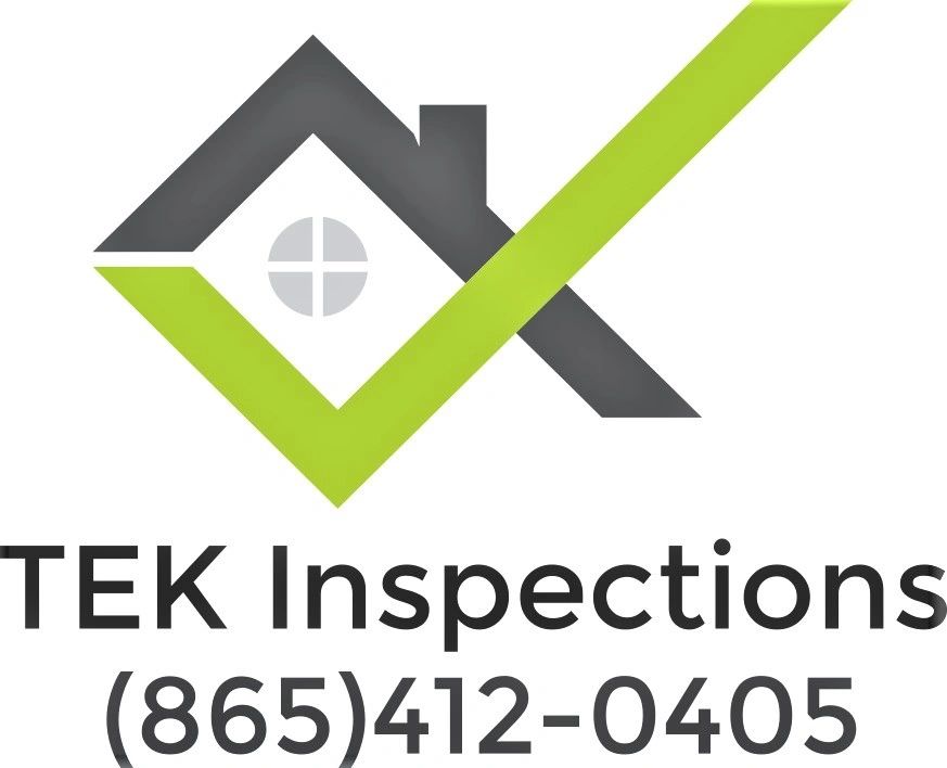 Tek Systems Logo