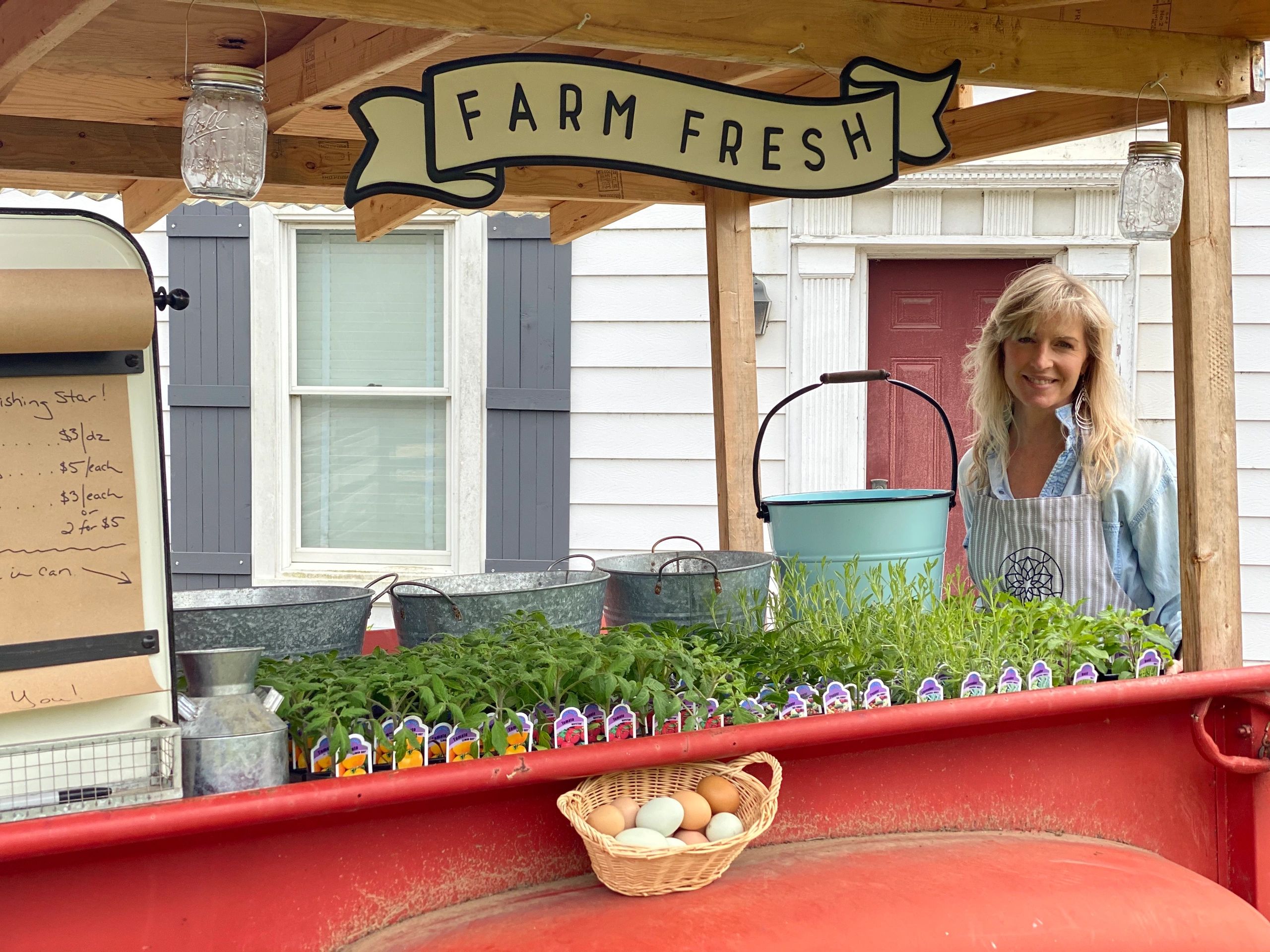 Wishing Star Farm - Wellness Center, Life Coaching, Farm