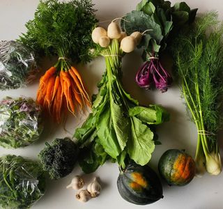 Liberty Farms - Home