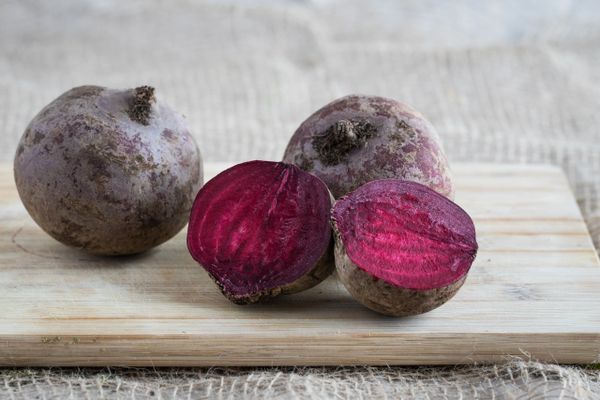 BEETS LARGE - RED