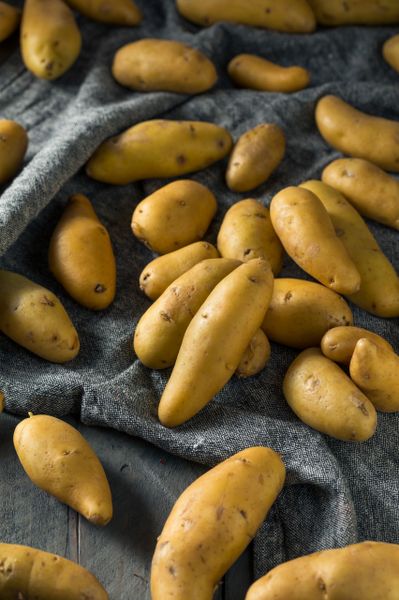 POTATOES - FINGERLINGS RUSSIAN