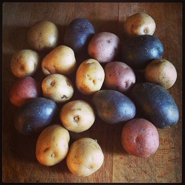 POTATOES - MARBLE MIXED