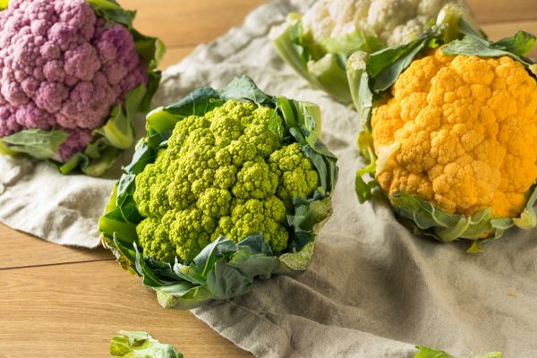 CAULIFLOWER - MIXED RAINBOW