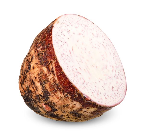 TARO ROOT (COCO MALANGA)