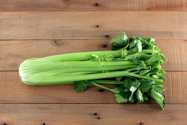 CELERY