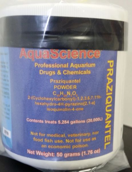 PRAZIQUANTEL FISH MEDICATION FLUKES WORMS 50 GM