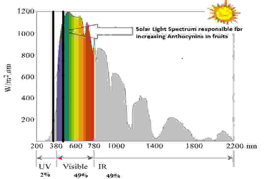 SUNUP® FILMS | Filmtech Inc.