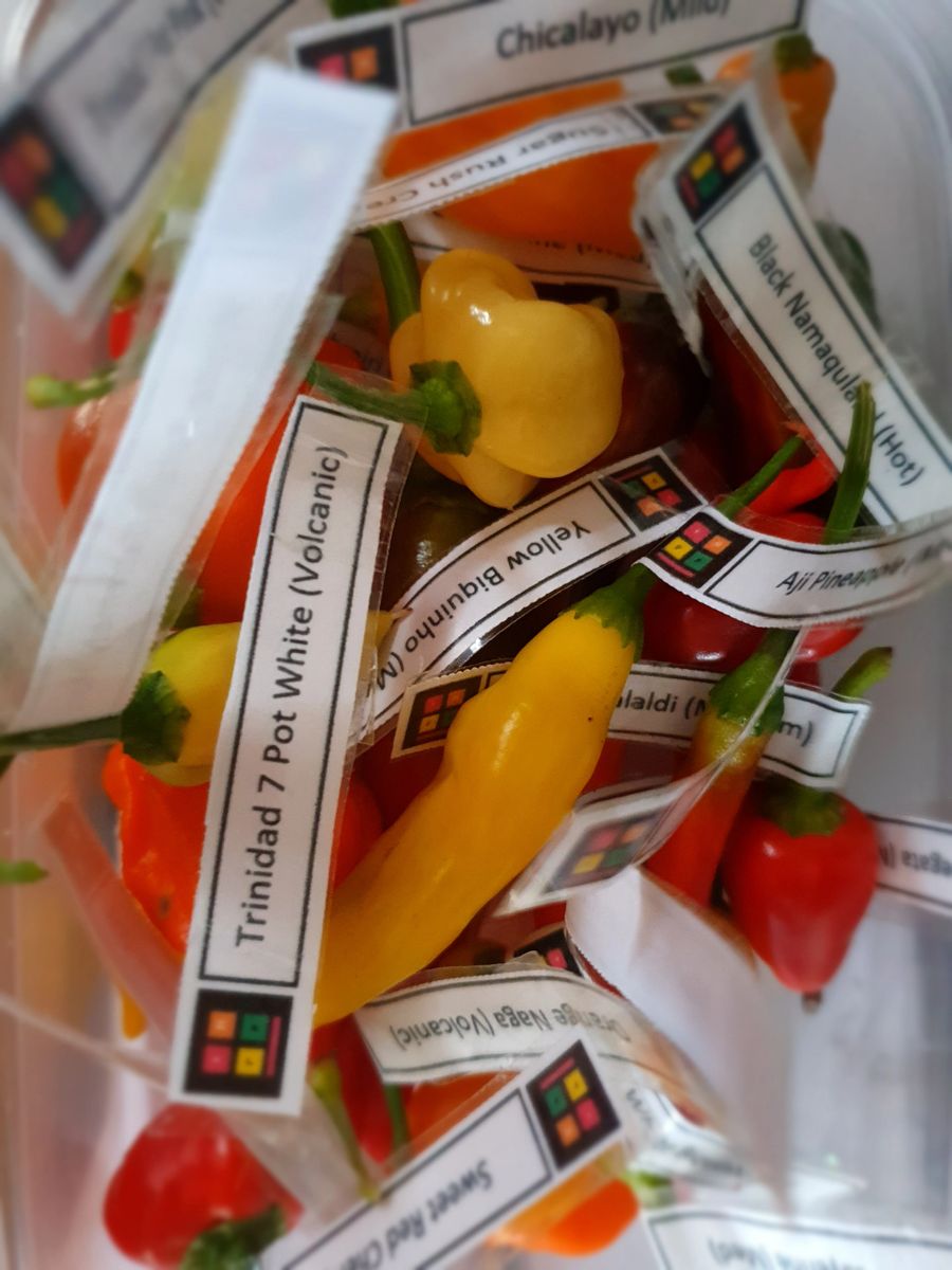 Box of 10 Mixed labelled pods