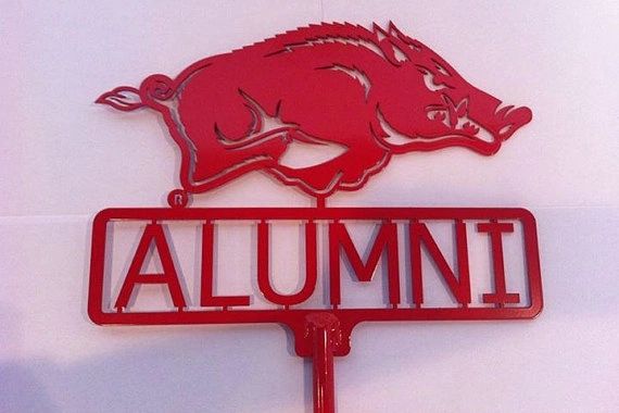 Razorback "Alumni" Yard Sign