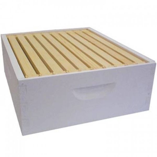 Complete Shallow Super with Frames and Foundation