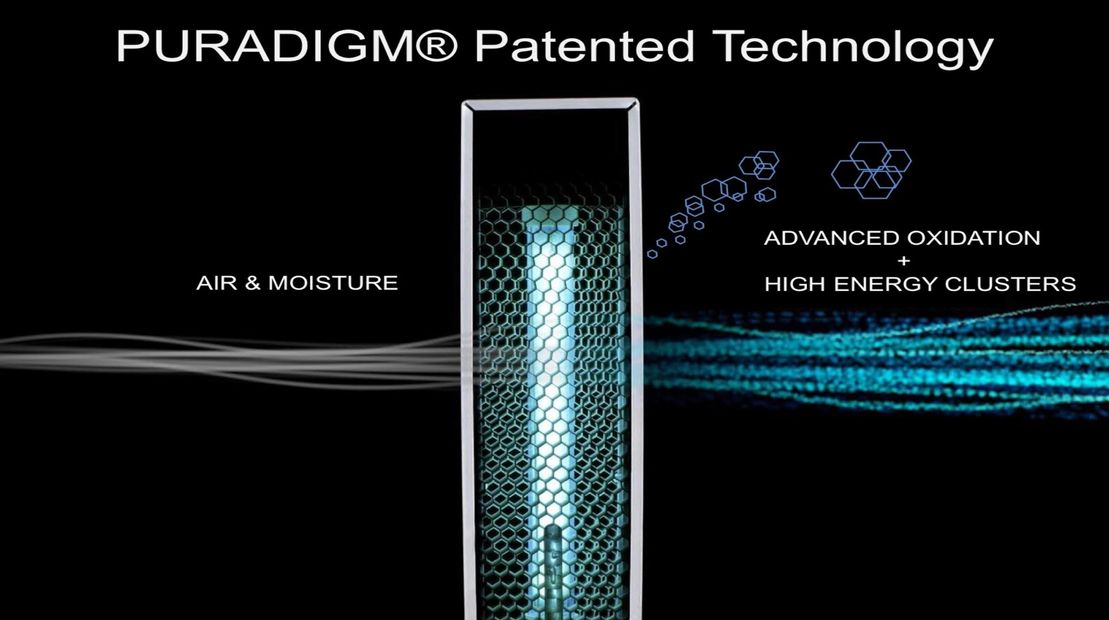 Eagle Distribution Group - Puradigm, Covid-19