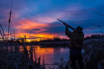 Black Creek Lodge - Quail Hunting, Hog Hunting, Duck Hunt