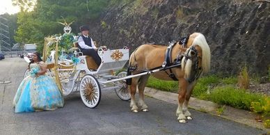 Carriage Rental - Princess Carriages