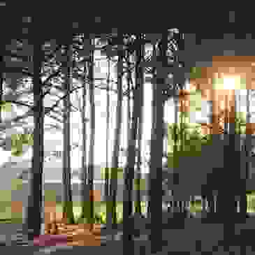 Lillian Recreational Park