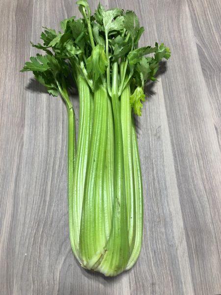 CELERY ORGANIC