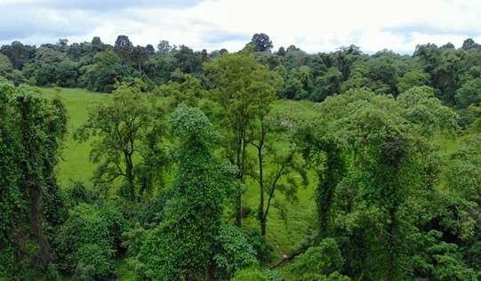 Recipe Oromo/Internatioal