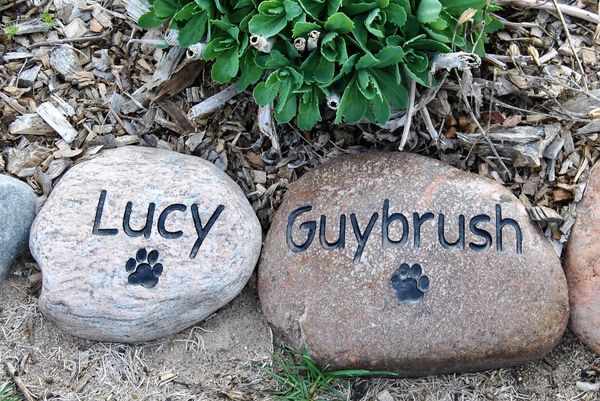 Cobble stone rock etched with your pets name