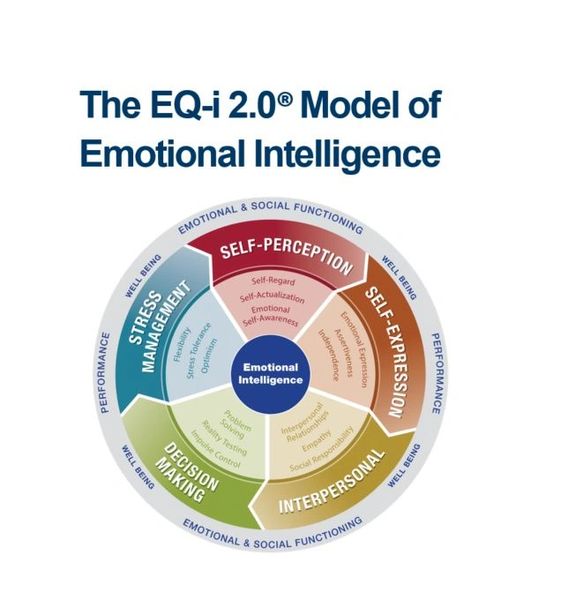 Emotional Intelligence EQ-i 2.0 (Includes The Emotionally Effective ...
