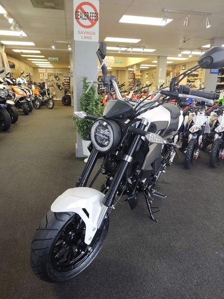 Wolf Brand Scooters 125cc Mini Bike | atelier-yuwa.ciao.jp