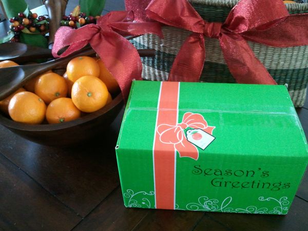 5 lb Box of Mandarins