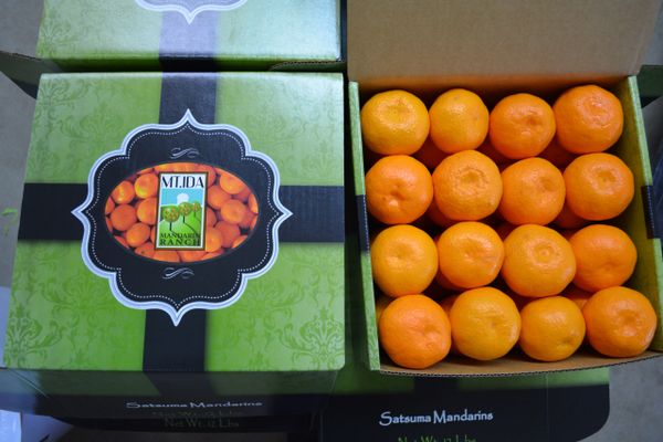 12 lb box of mandarins