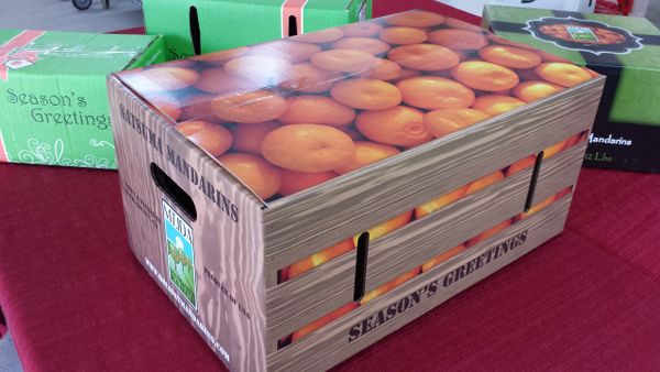 25 lb Box of Mandarins